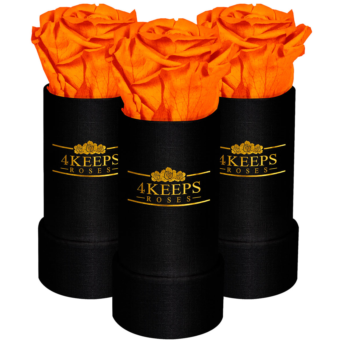 3 SUNSET ORANGE ROSES – 4KEEPS ROSES